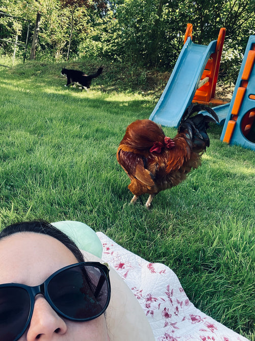 Chelsea Kramer Art | Chelsea Kramer Art